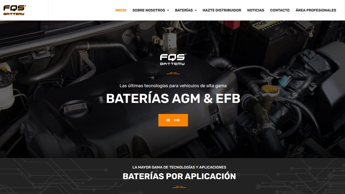 LIGHT TRACTION Archives - FQS BATTERY